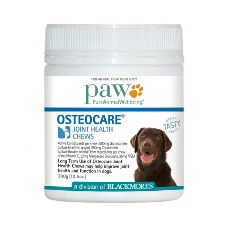 Shop Dog Medicines in Penrith, Australia