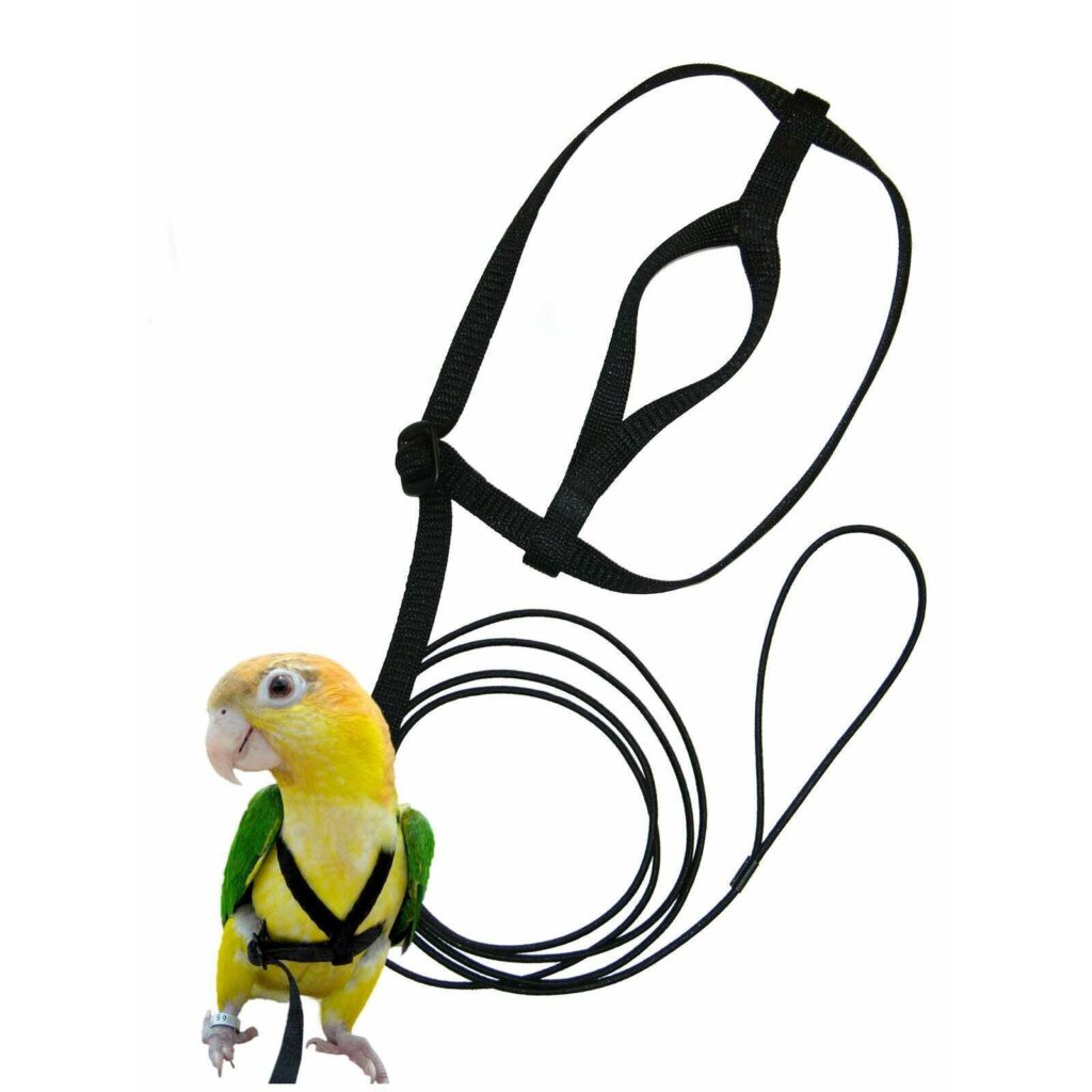 AVIATOR BIRD HARNESS LARGE - Pets Warehouse Penrith