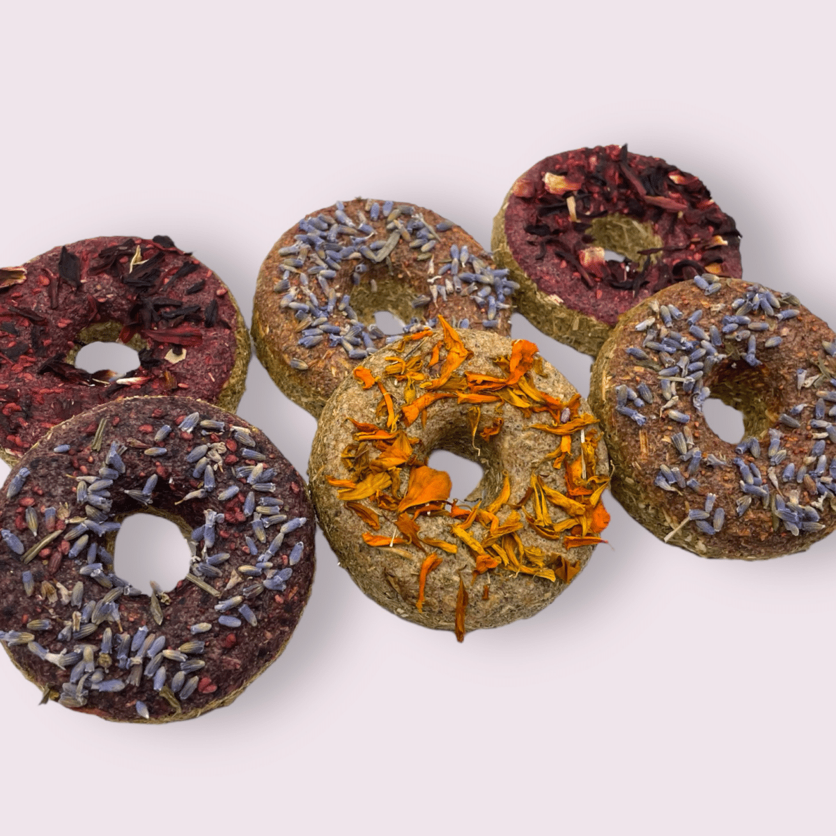 DONUT PACK 6 PACK - Pets Warehouse Penrith